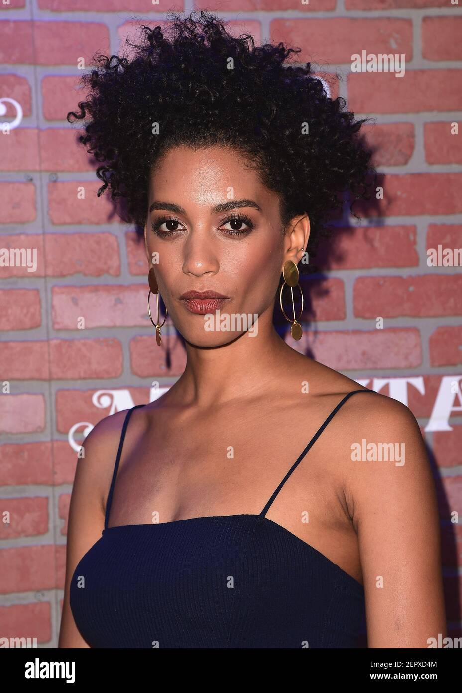 LOS ANGELES - FEBRUARY 19: Producer/Writer Stefani Robinson at the red ...