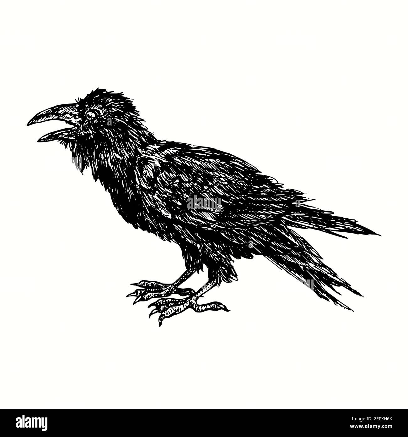 Bird with black face Cut Out Stock Images & Pictures - Alamy