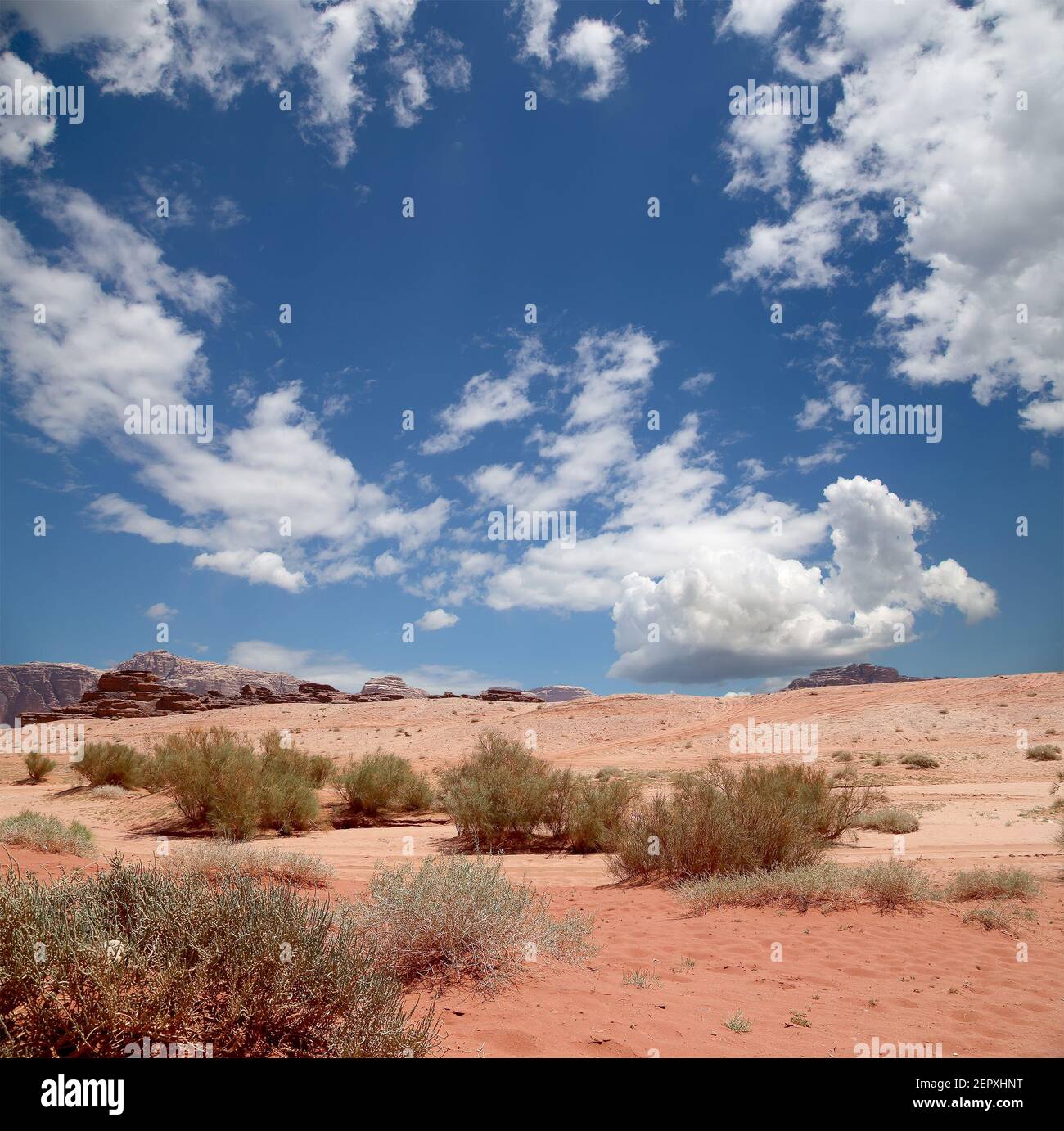 Wadi Rum Desert also known as The Valley of the Moon is a valley cut ...