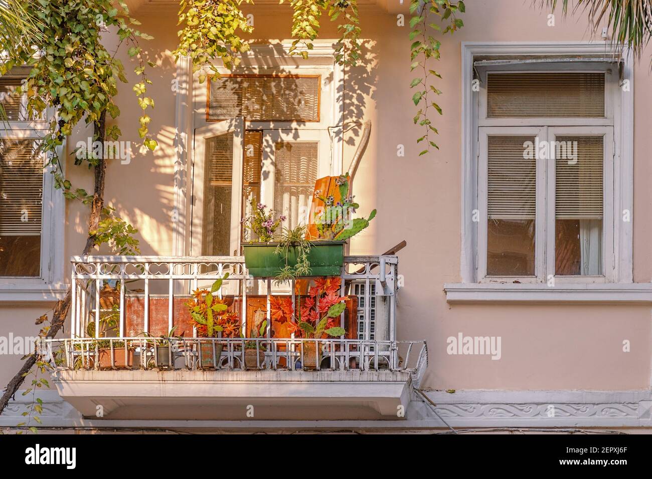 Exterior of old house wall in pastel colors with grapevine, balcony and ...
