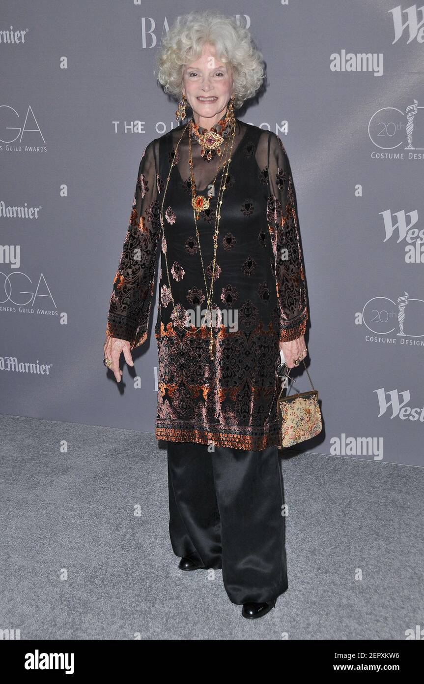 Maggie Schpak arrives at the 20th CDGA (Costume Designers Guild Awards ...