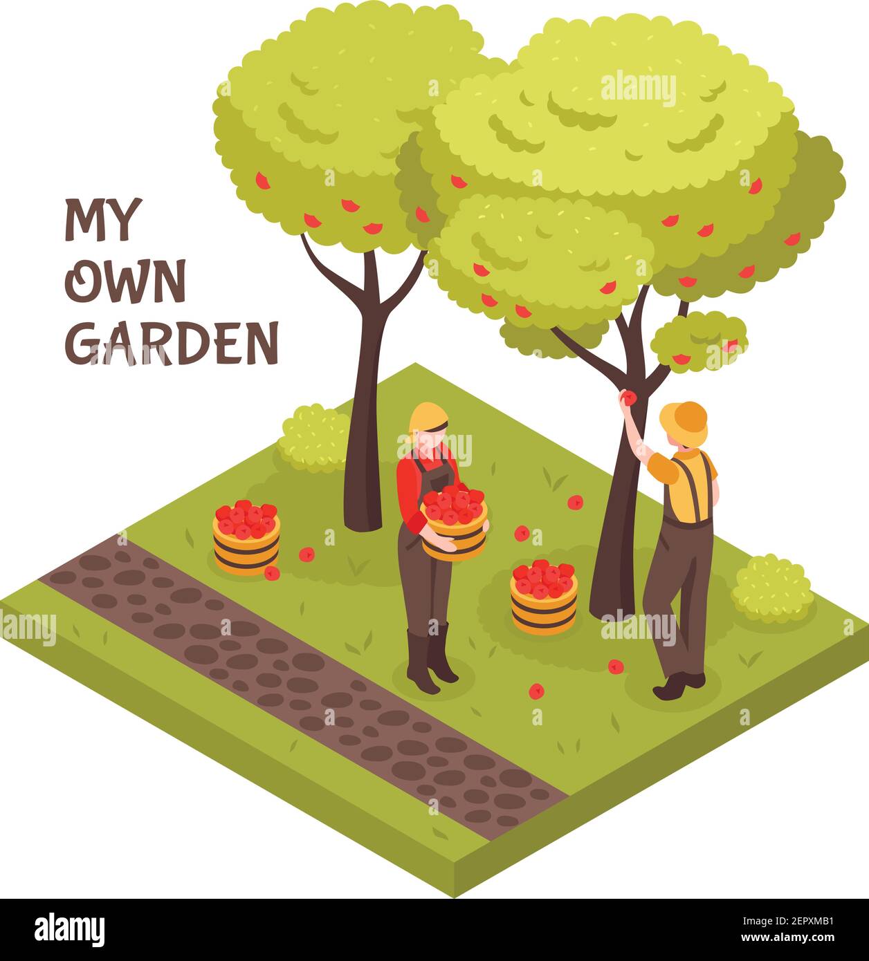 Gardening isometric concept with trees fruit and lawn symbols vector ...