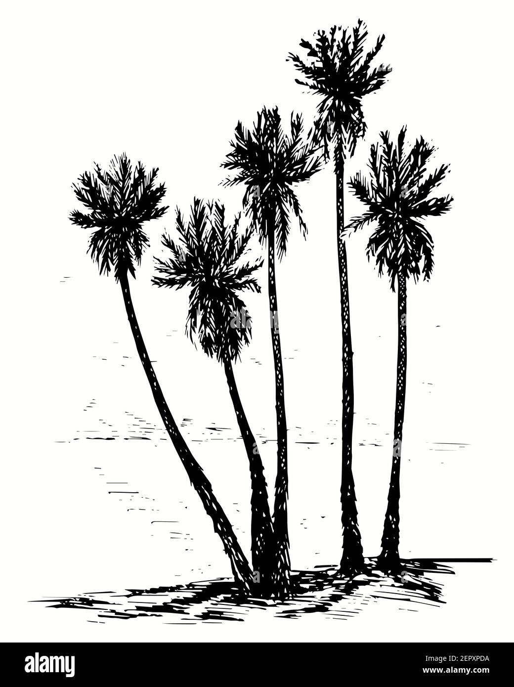 Jungle shore Cut Out Stock Images & Pictures - Alamy