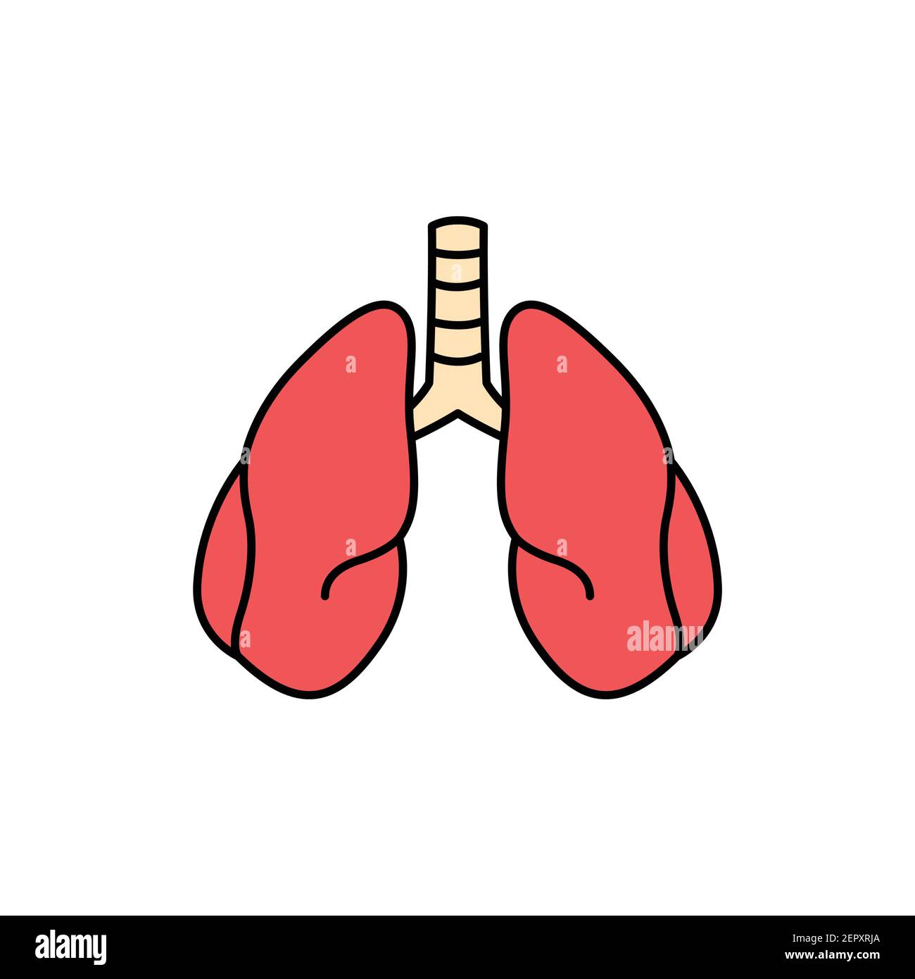 Human organ lungs color line icon. Pictogram for web page, mobile app ...