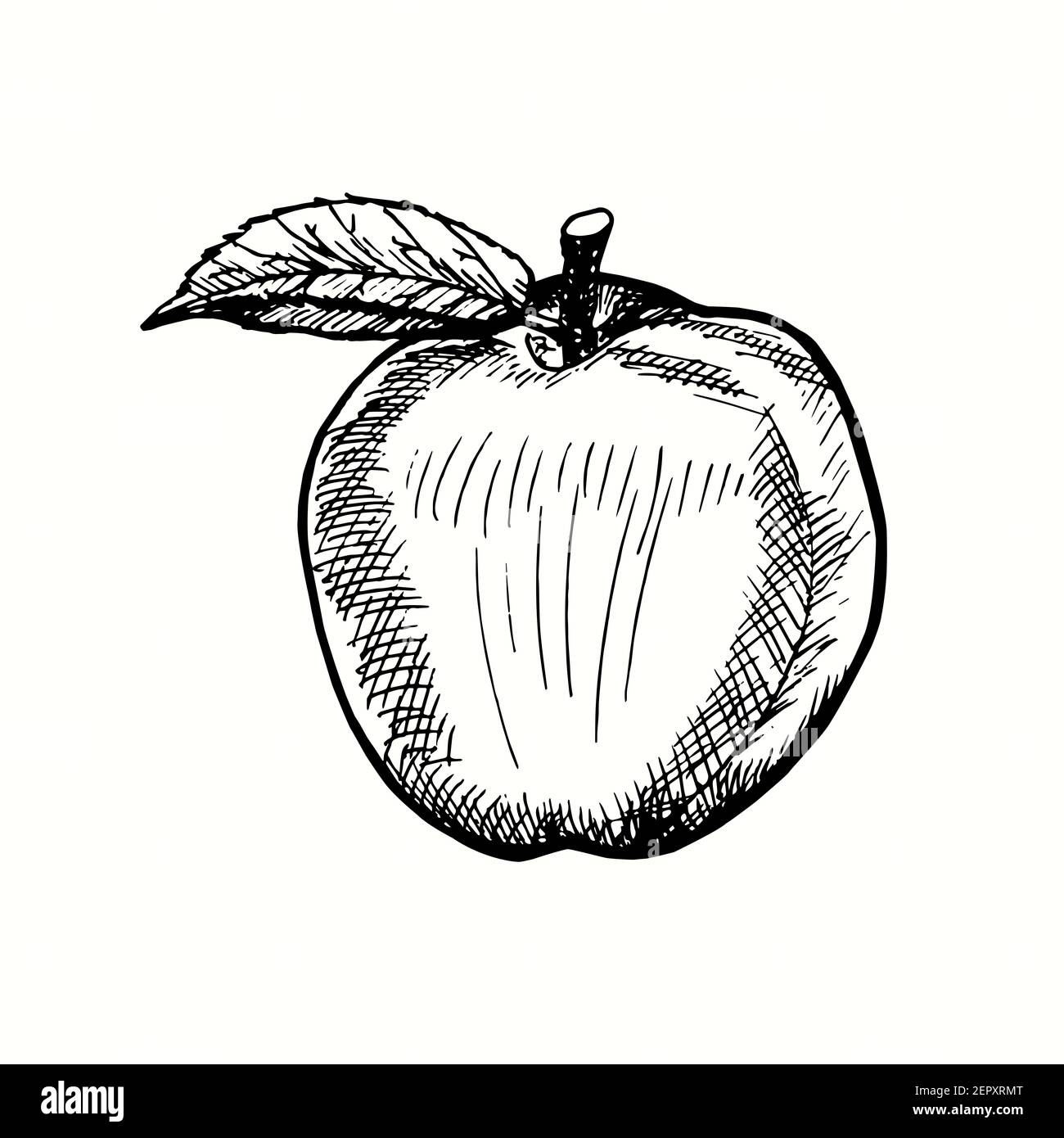 Apple Black And White