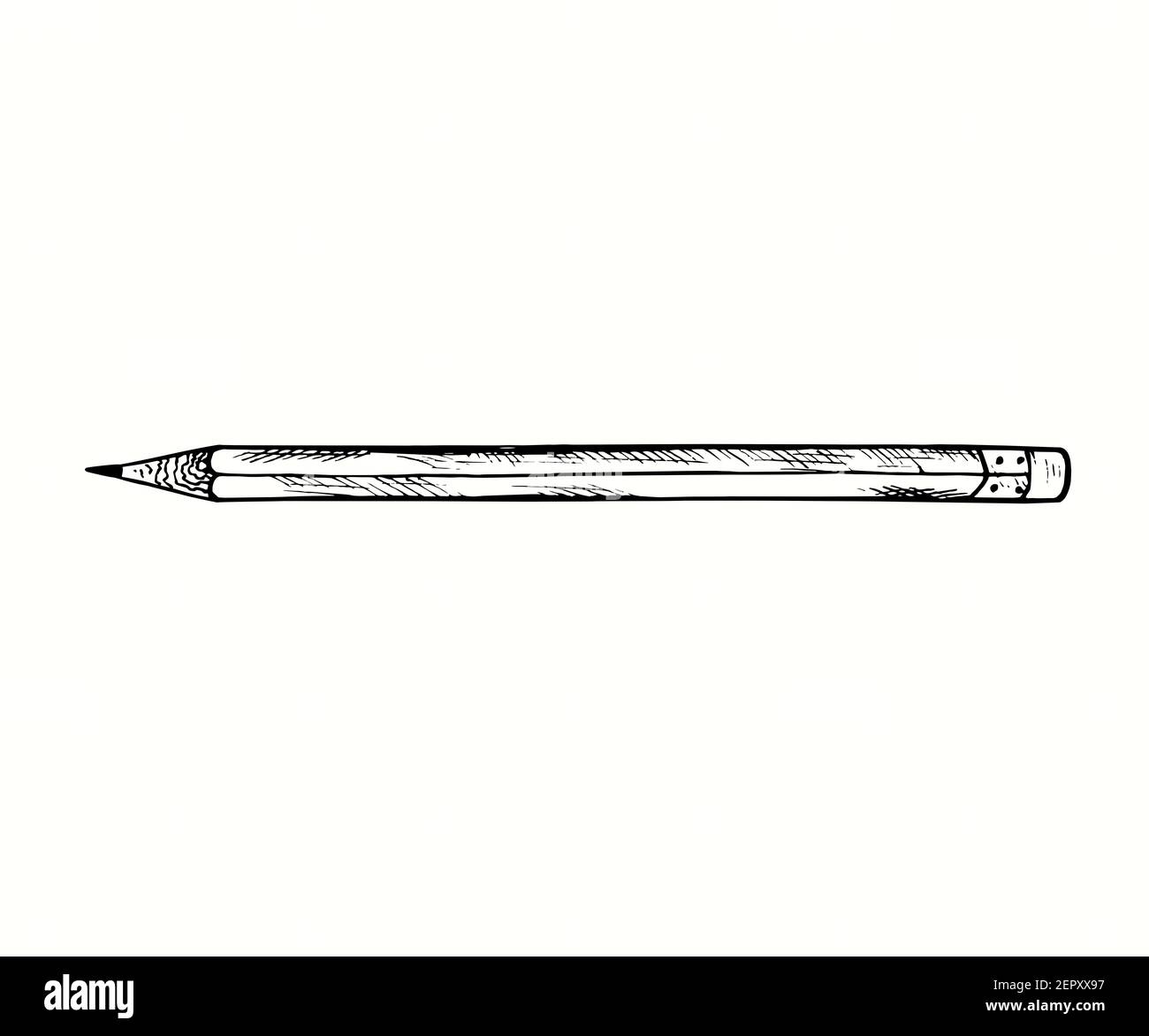 Hand drawn pencil, side view. Ink black and white drawing Stock Photo ...