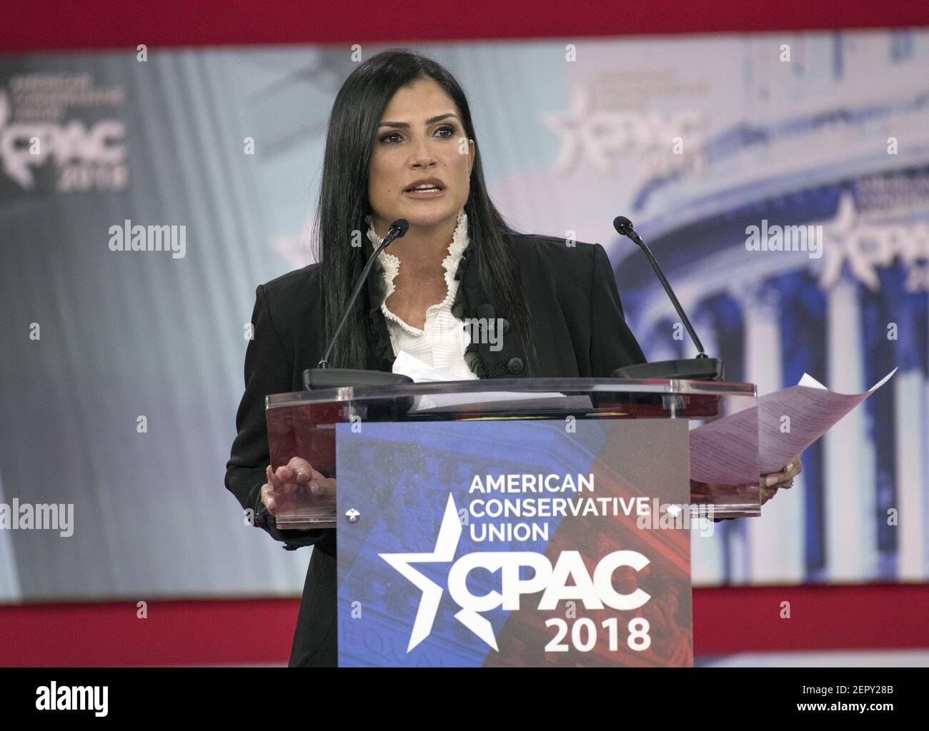 Dana Loesch, spokesperson for the National Rifle Association, speaks at ...