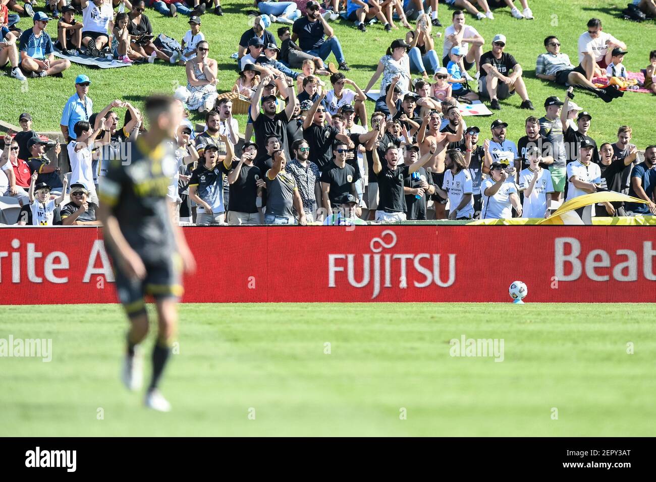 Macarthur fans hi-res stock photography and images - Alamy