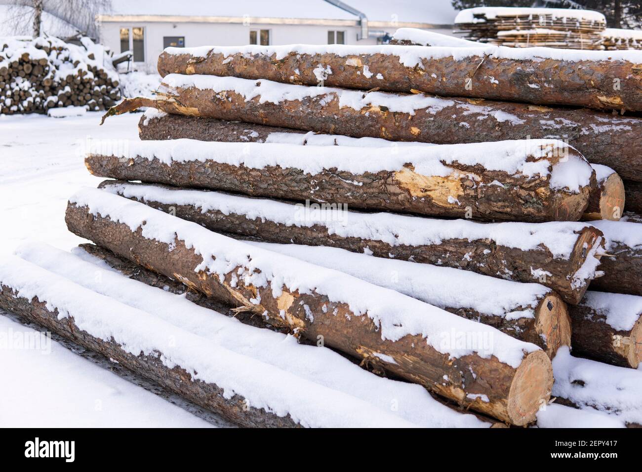 A pile of logs on a sawmill under the layer of snow in the winter ...