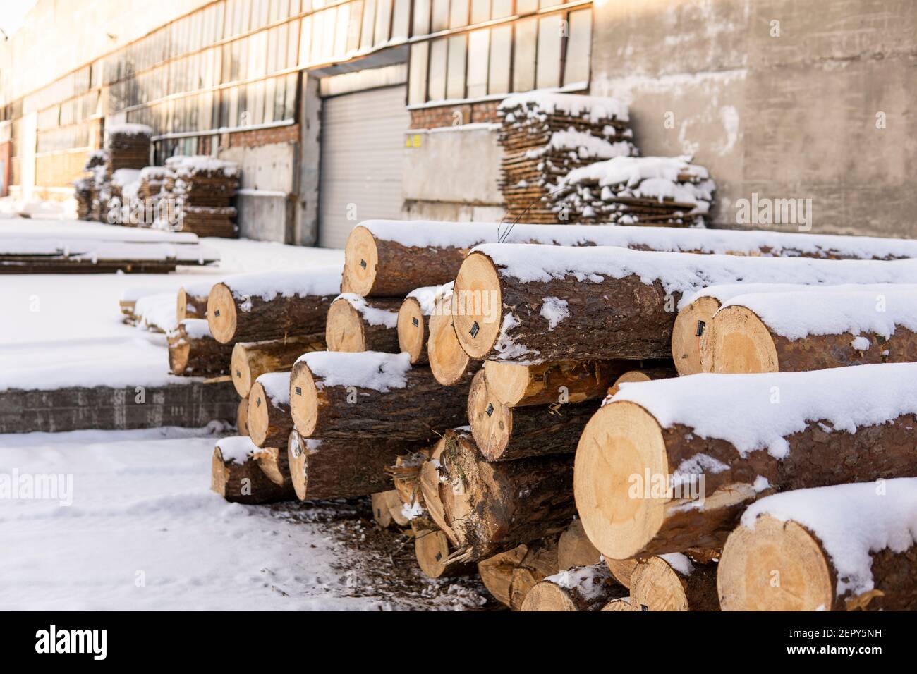 A pile of logs on a sawmill under the layer of snow in the winter ...