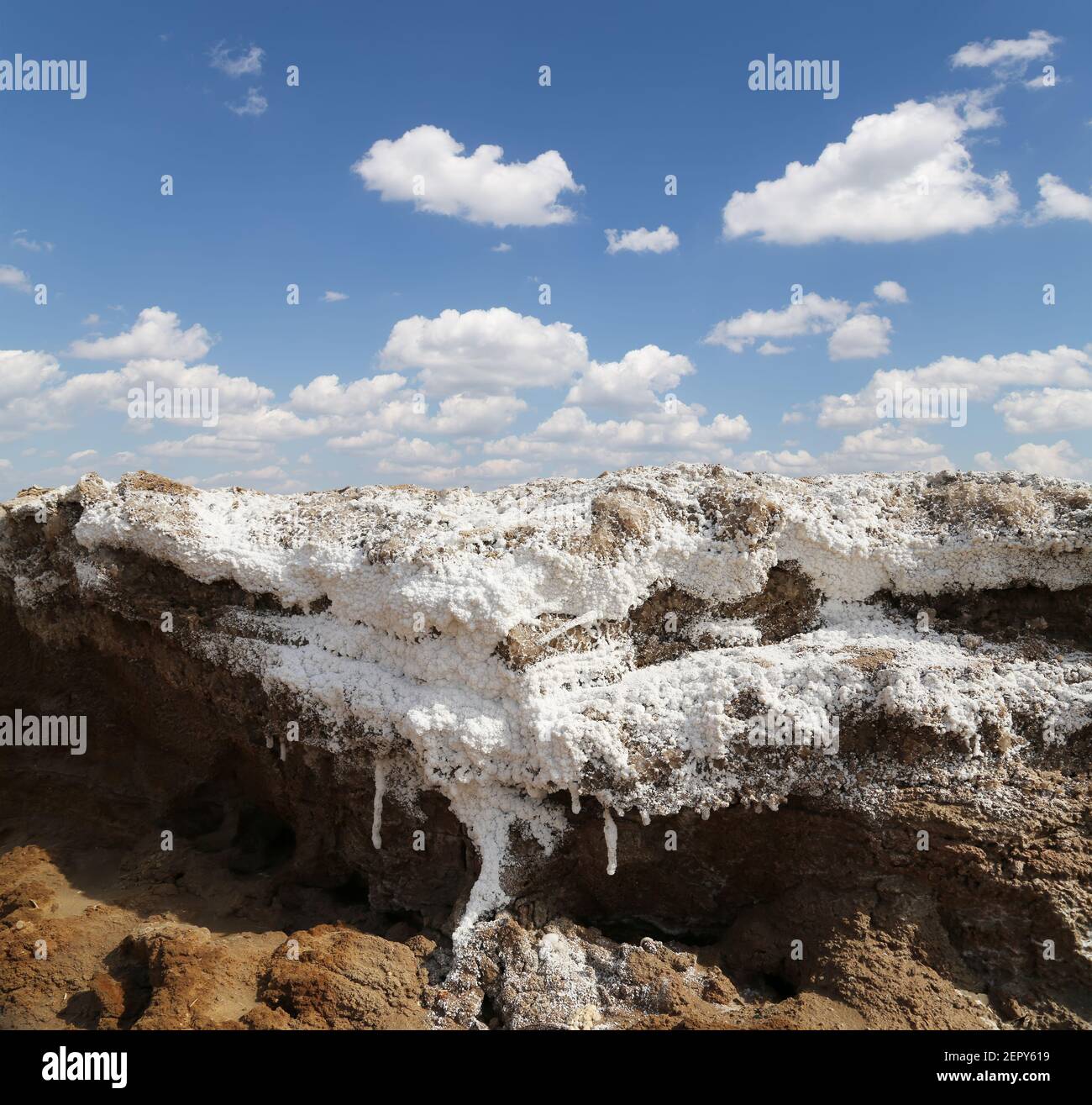 dead sea salt at Jordan Stock Photo - Alamy
