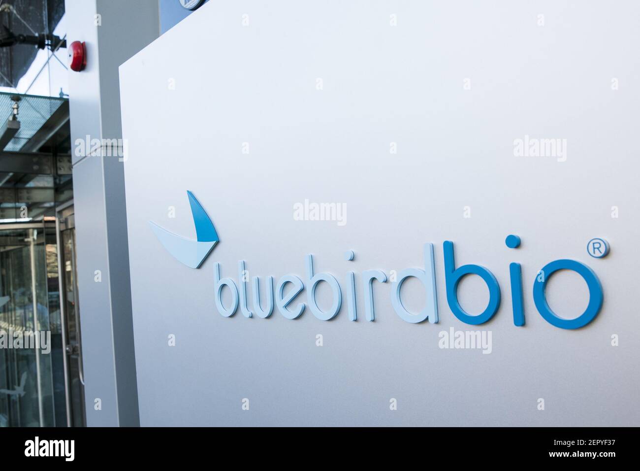 A logo sign outside of the headquarters of Bluebird Bio in Cambridge ...