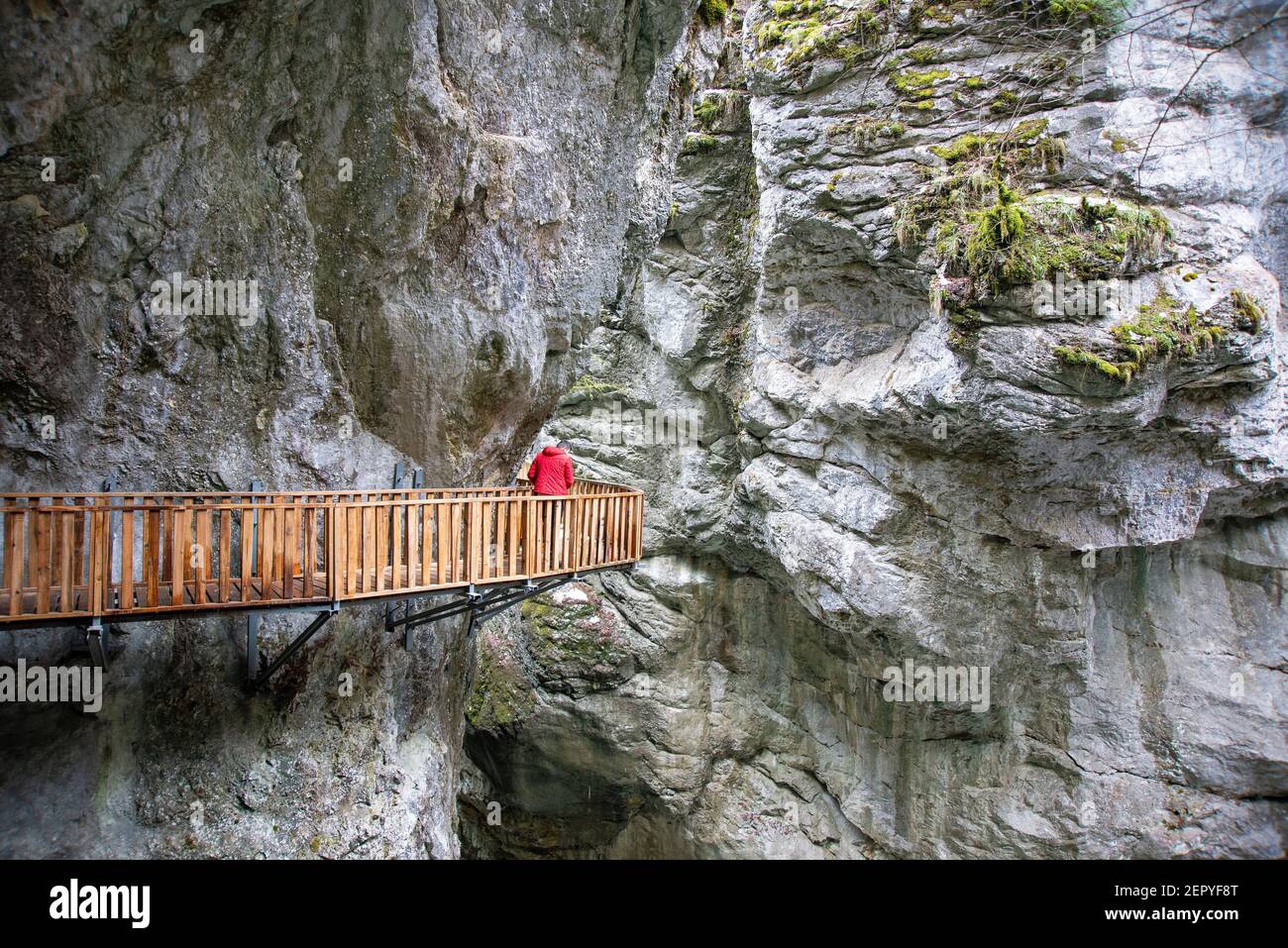 Horma Canyon is one of the many canyons in the Küre Mountains National ...