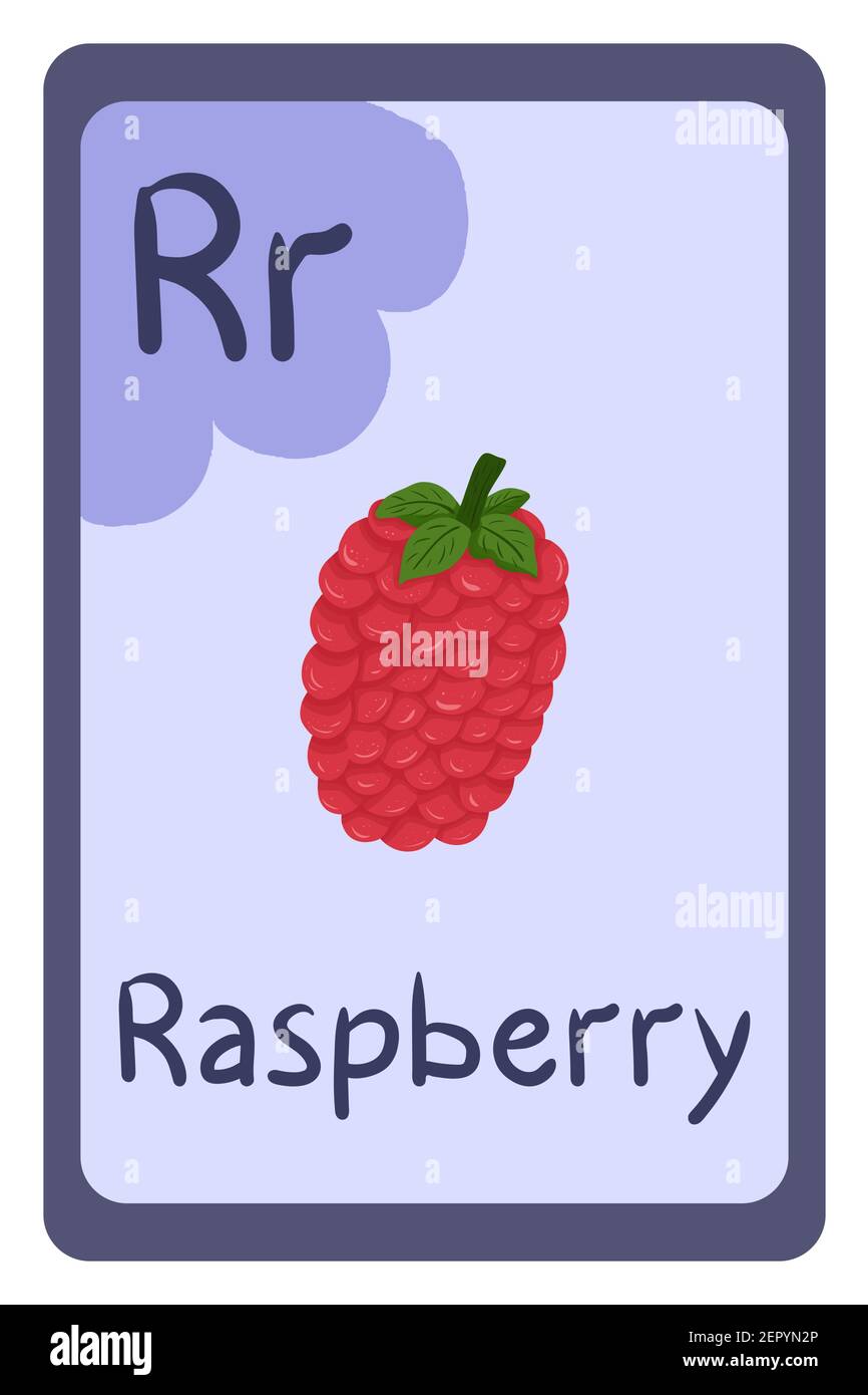 Colorful abc education flash card, Letter R - raspberry. Alphabet ...