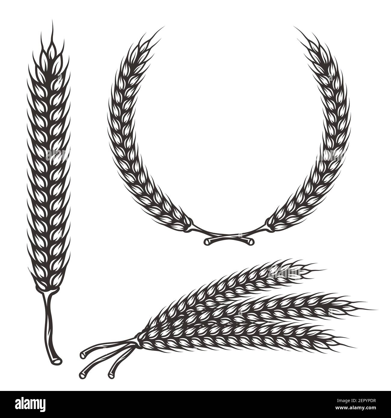 Barley Clip Art