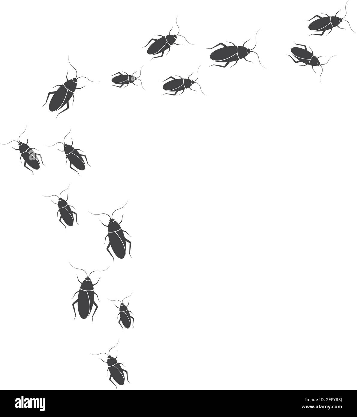 Cockroaches illustration Cut Out Stock Images & Pictures - Alamy