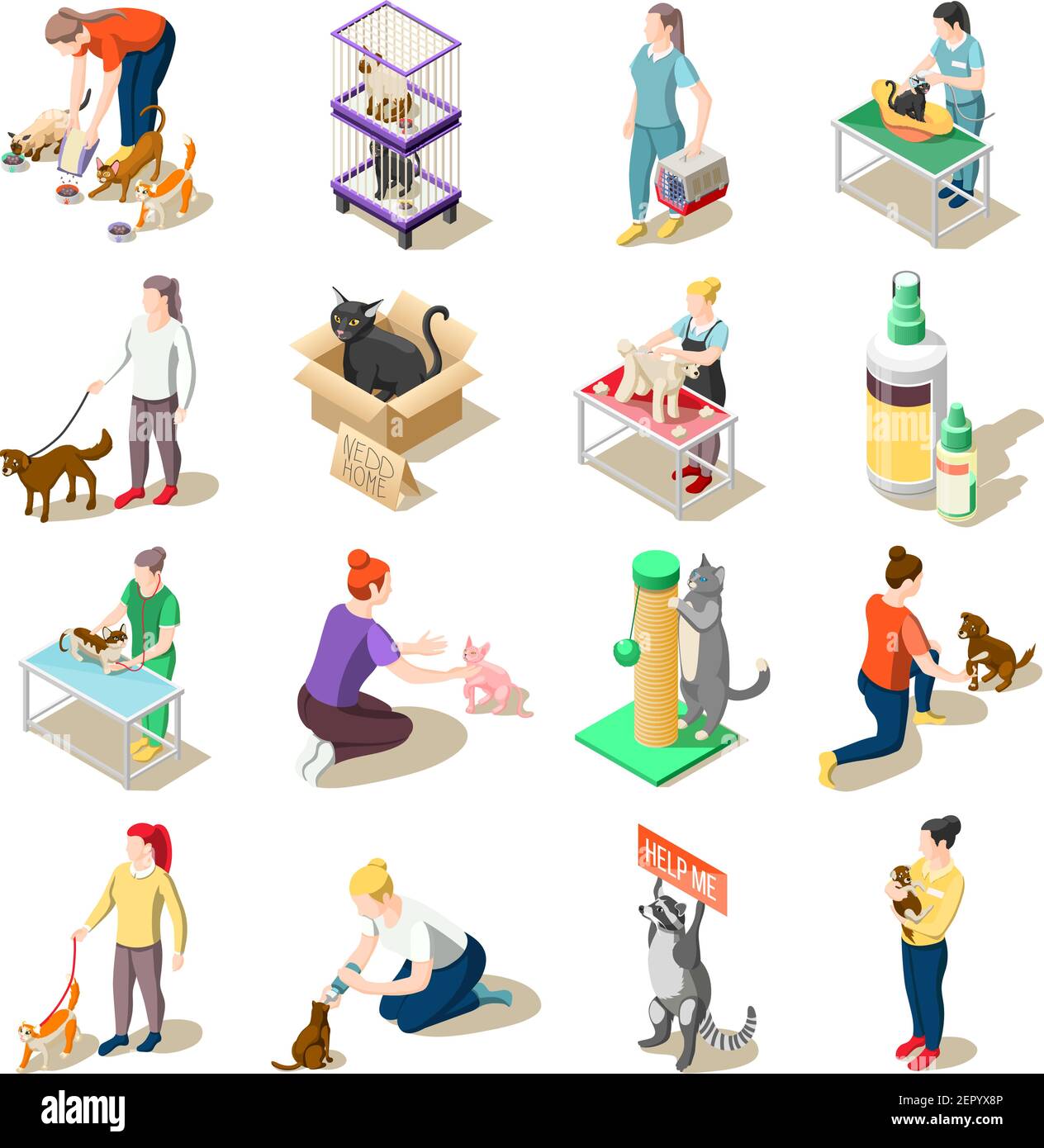 Set of isometric icons animal care volunteers, feeding, walking and ...