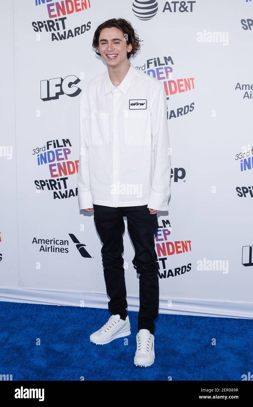 Timothée Chalamet walking on the blue carpet during the 33rd Film ...