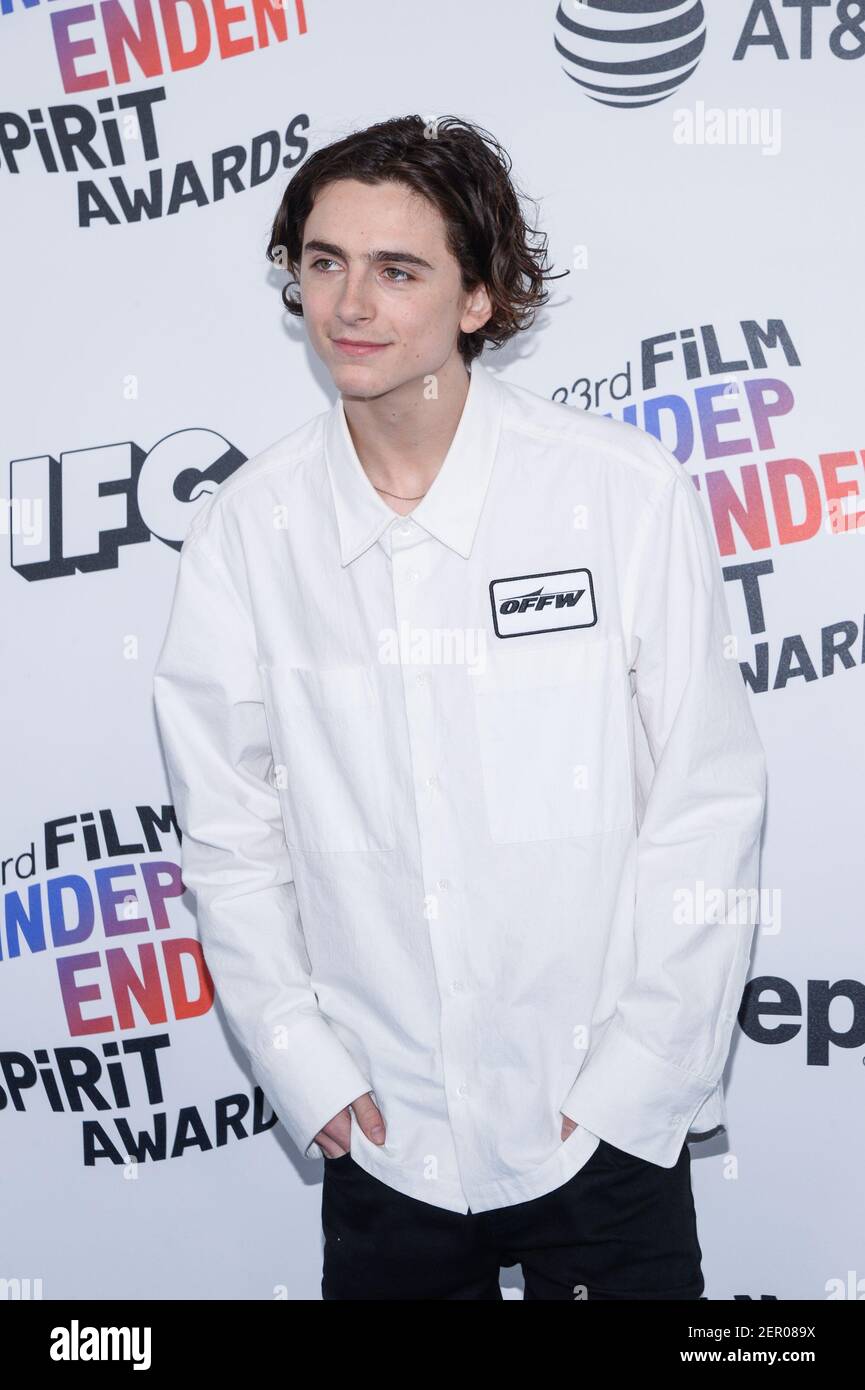 Timothée Chalamet walking on the blue carpet during the 33rd Film ...