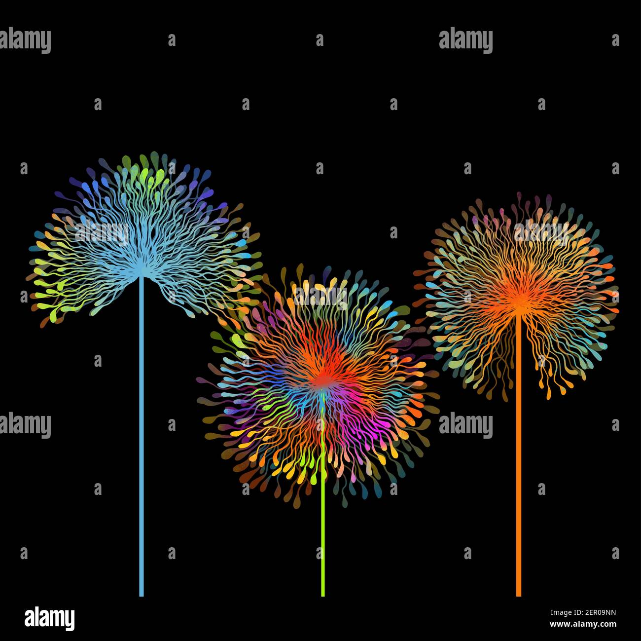 Beautiful colored dandelions. Vector Stock Vector Image & Art - Alamy