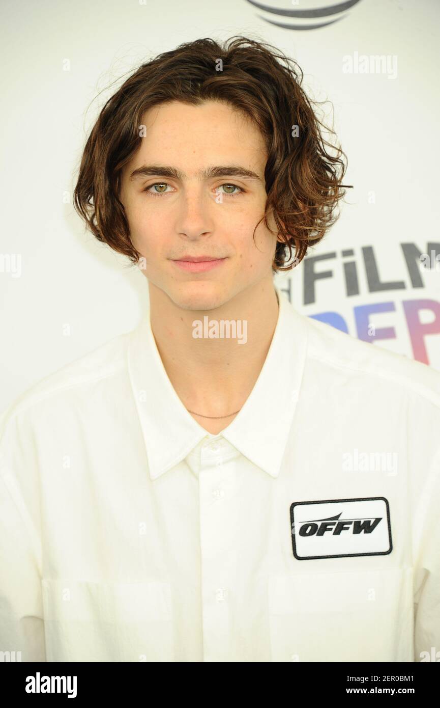 Timothee Chalamet arrives to the 33rd Film Independent Spirit Awards ...