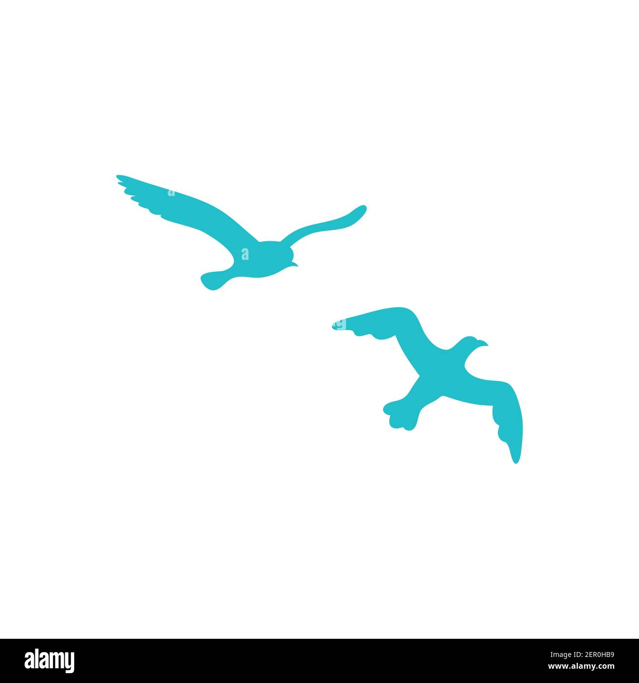 Seagull silhouette on white isolated background. Vector illustration ...