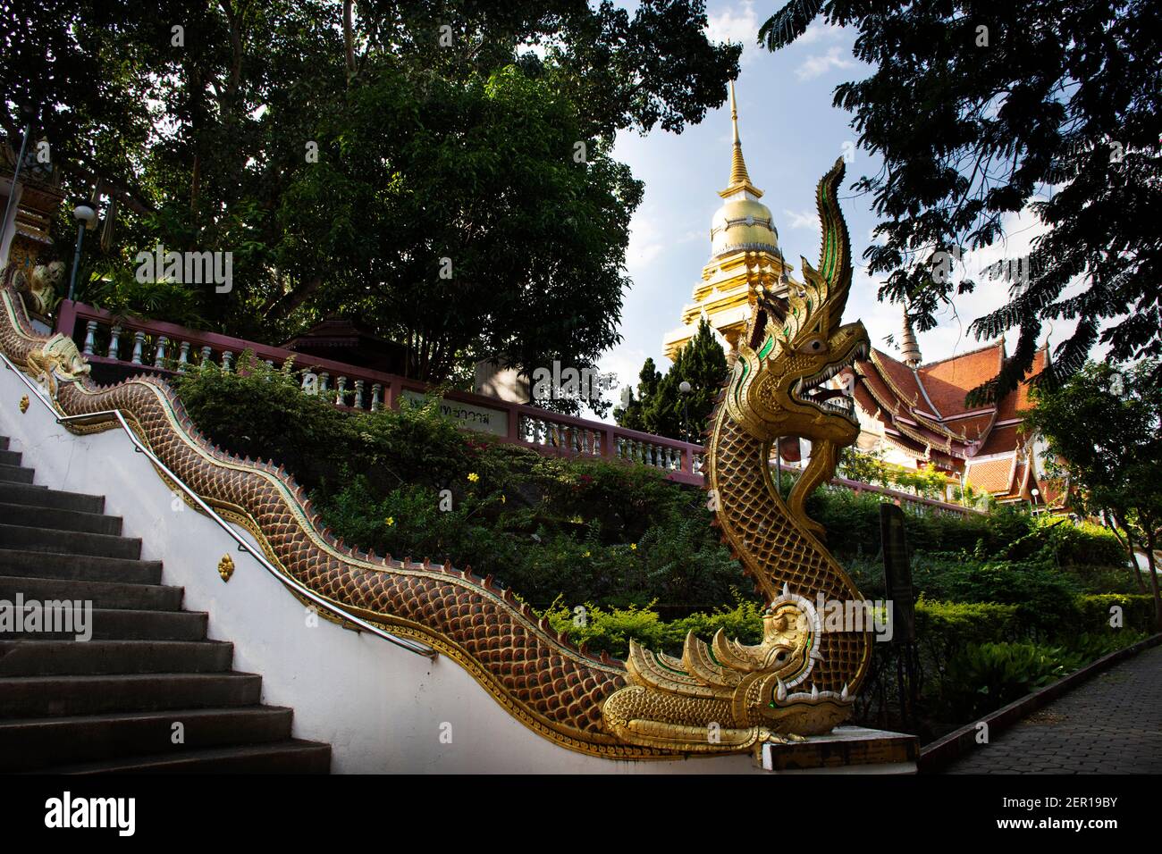 Naga Serpent stairway and chedi pagoda stupa of Wat Phra That Doi Saket ...