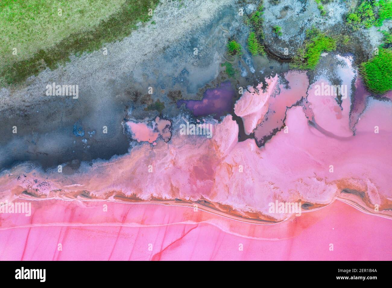 White salt on the shores of the island in Pink Island. Lake Lemuria ...
