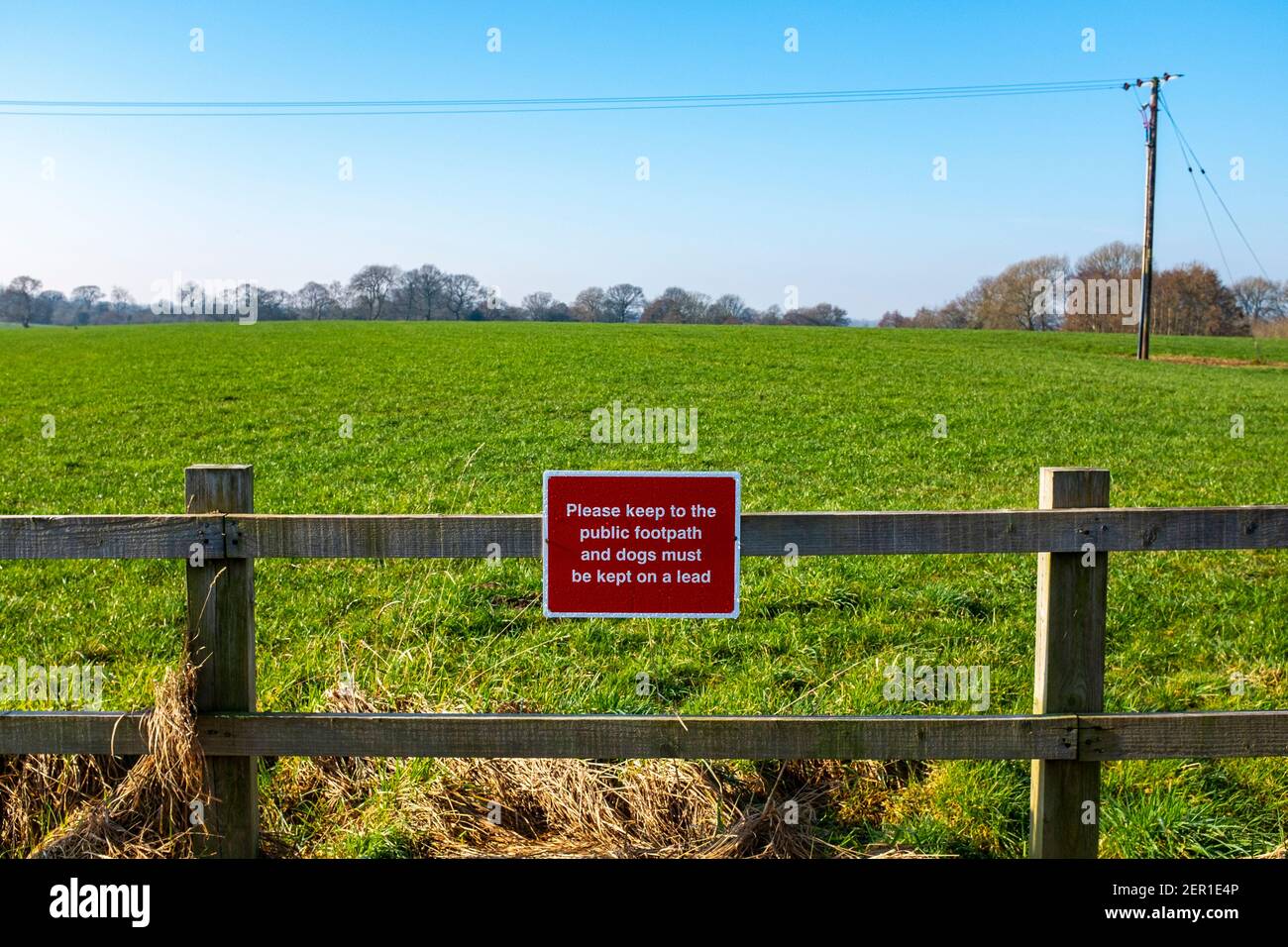 Please please dogs on lead sign hi-res stock photography and images - Alamy
