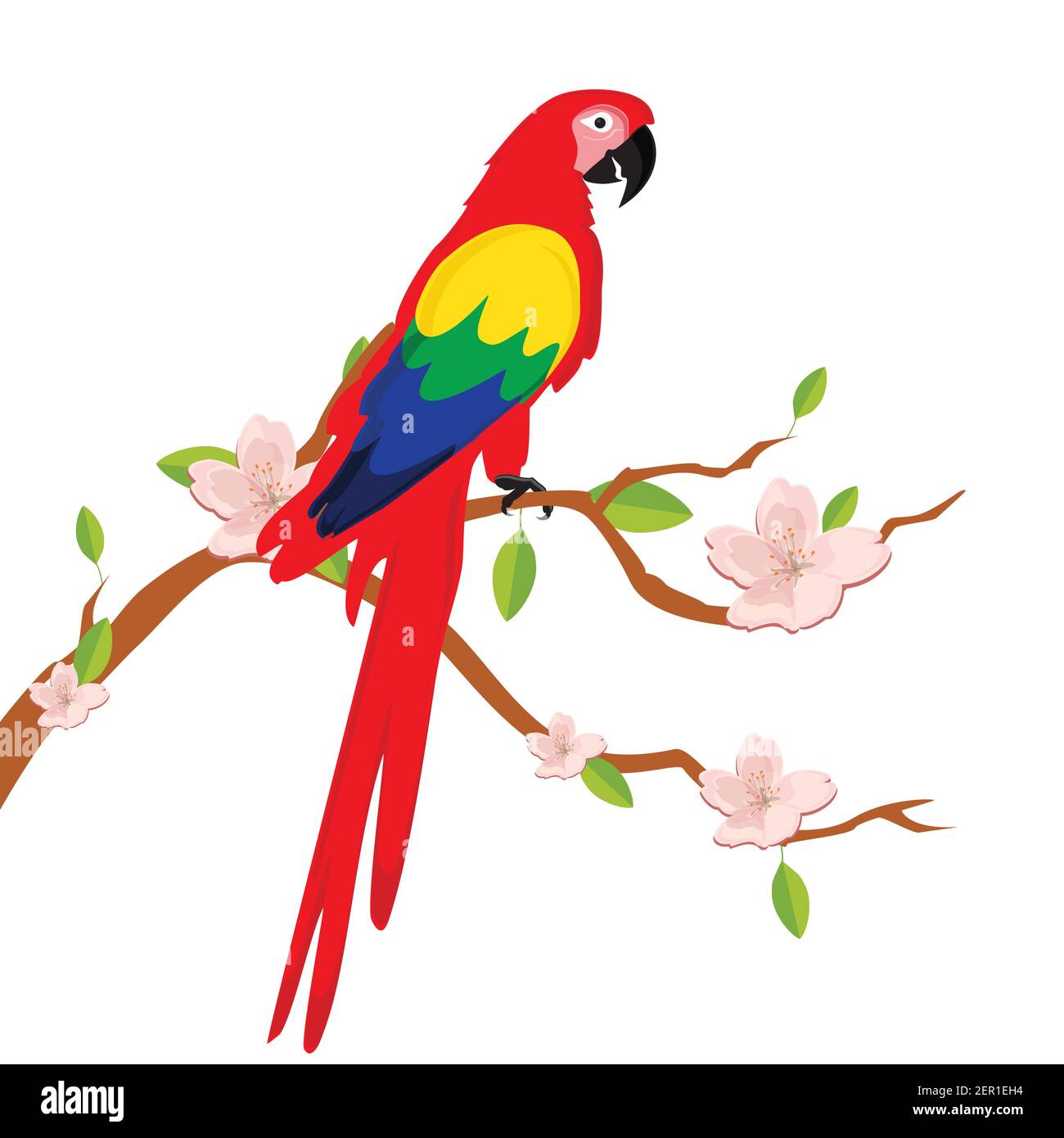 Vector illustration colorful macaw parrot sitting on blooming tree ...
