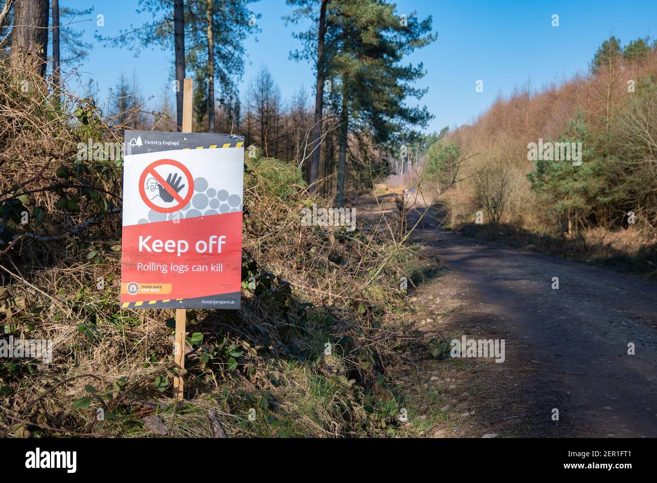 Warning sign, deforestation Stock Photo - Alamy