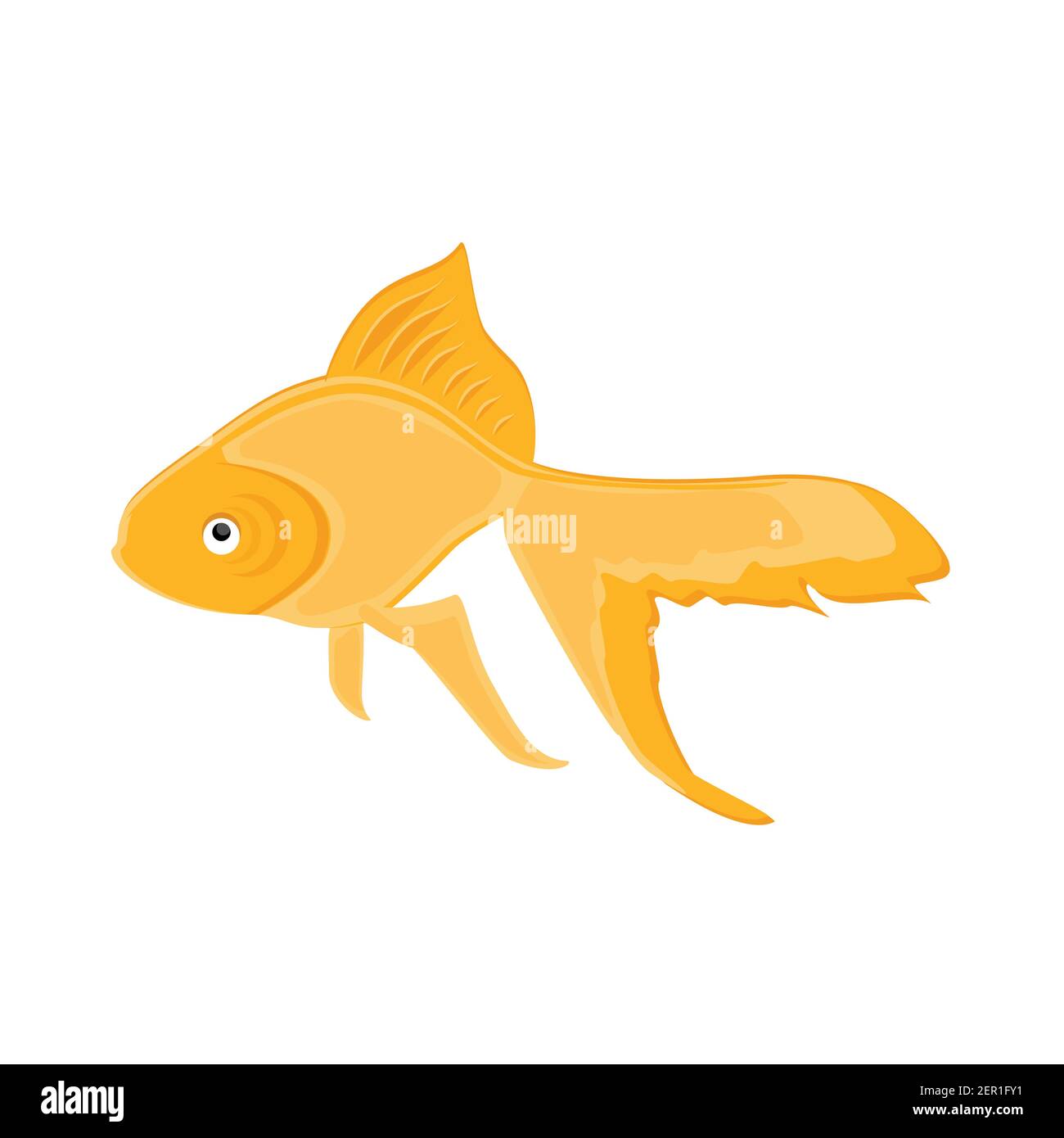 Goldfish Illustration