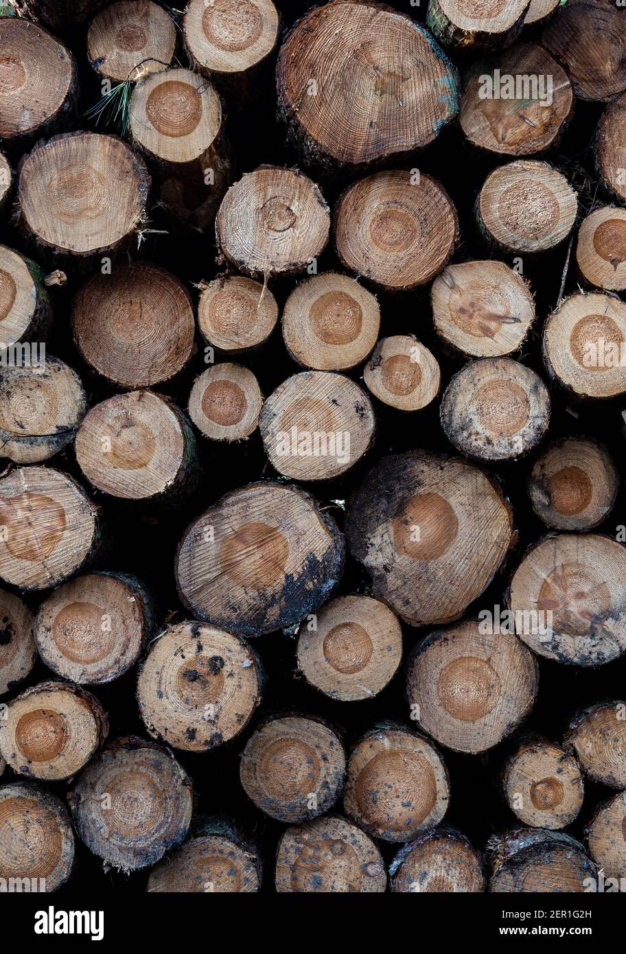 Close up log stack Stock Photo - Alamy