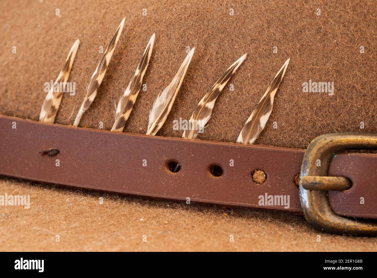 Woodcock pin feathers in a hat band.England UK Stock Photo - Alamy