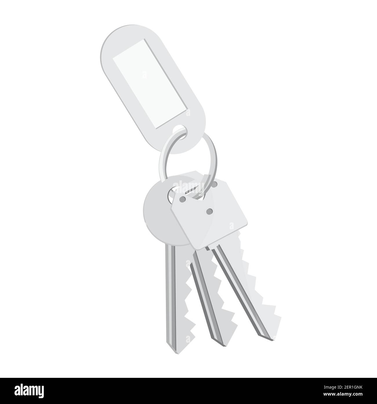 Vector illustration blank white tag and keys. Bunch of keys with ...