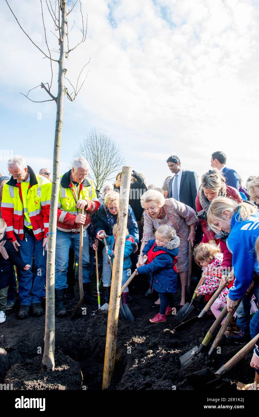 Princess Beatrix attends the planting of a Koningslinde (King’s Lime ...