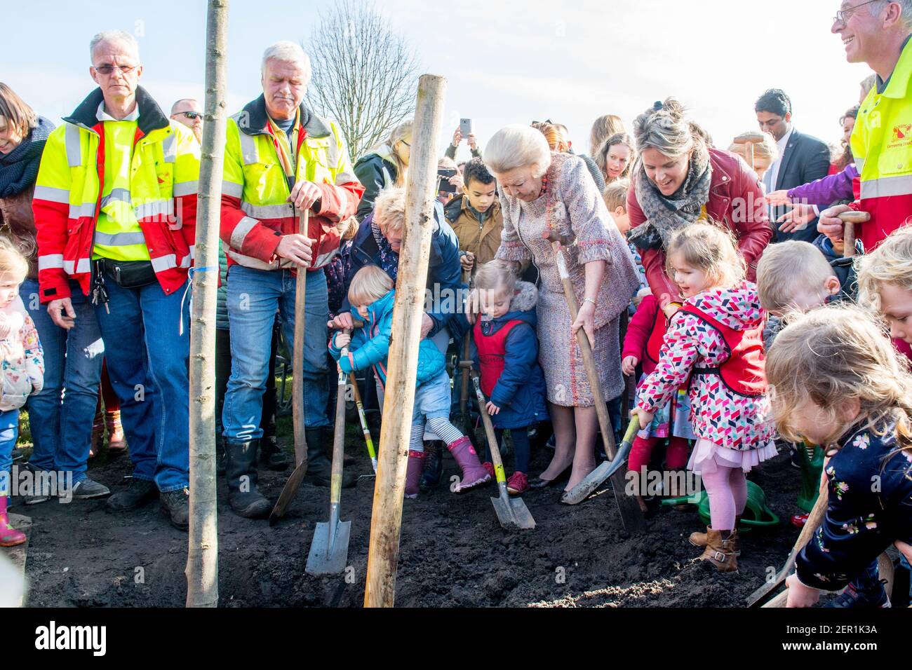 Princess Beatrix attends the planting of a Koningslinde (King’s Lime ...