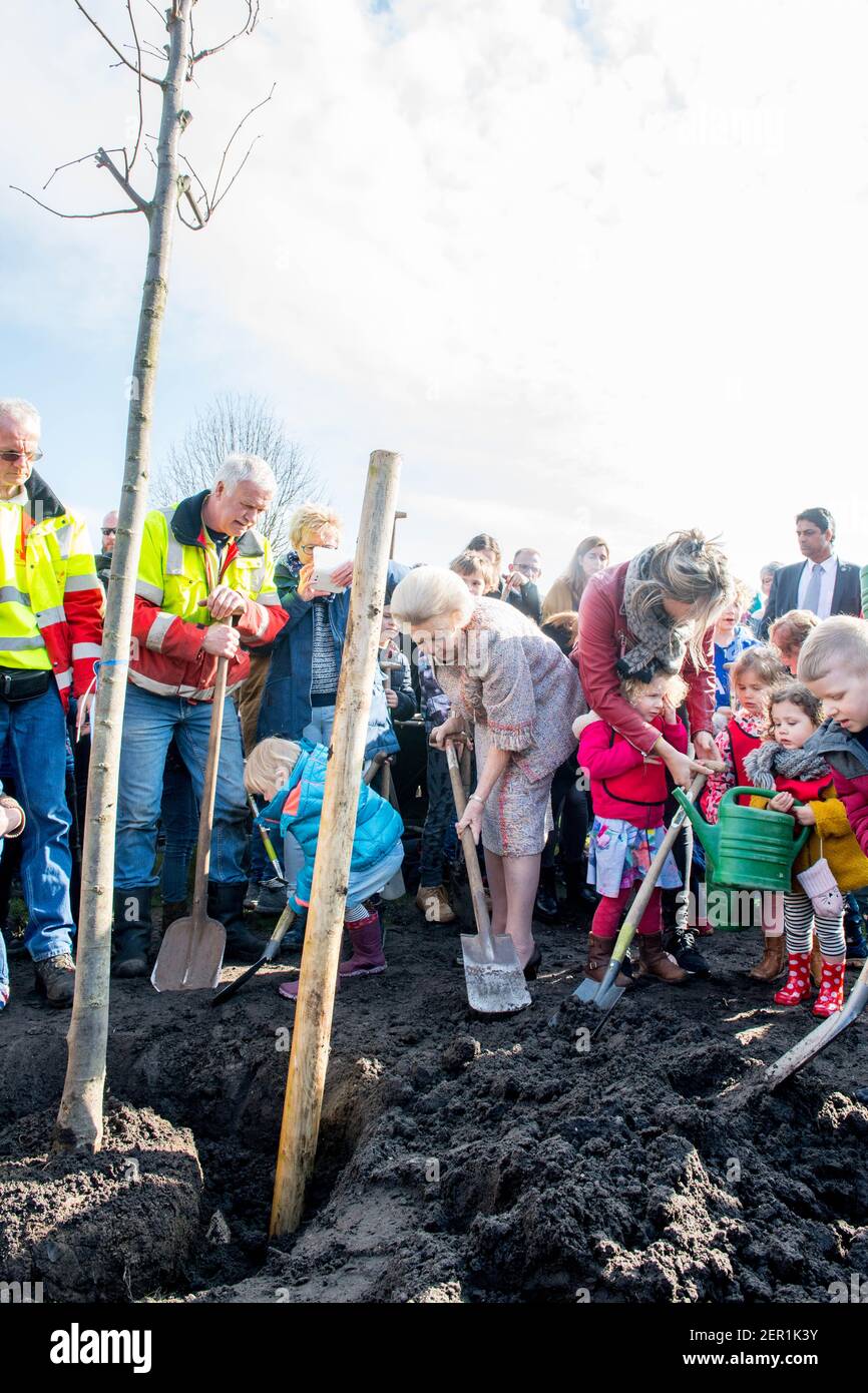 Princess Beatrix attends the planting of a Koningslinde (King’s Lime ...