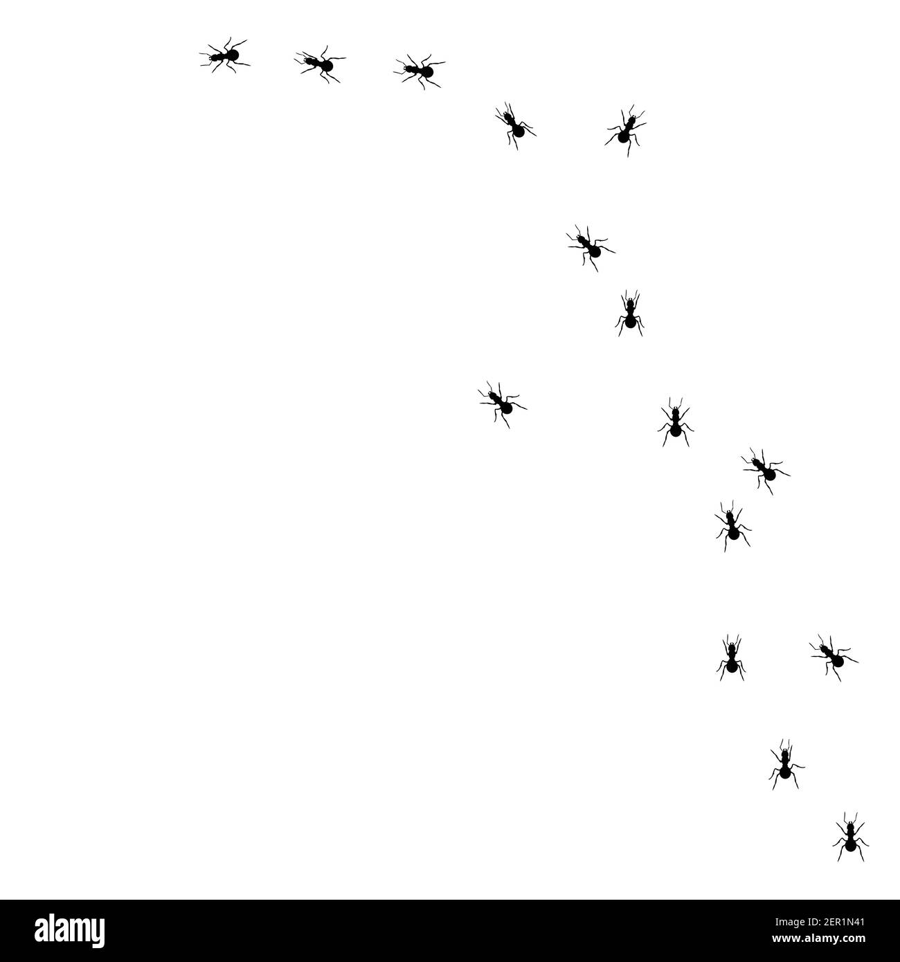 Vector illustration line of worker ants marching to some destination ...