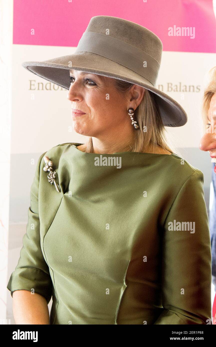 Queen Maxima attends the opening of expertise center Endometriosis in ...