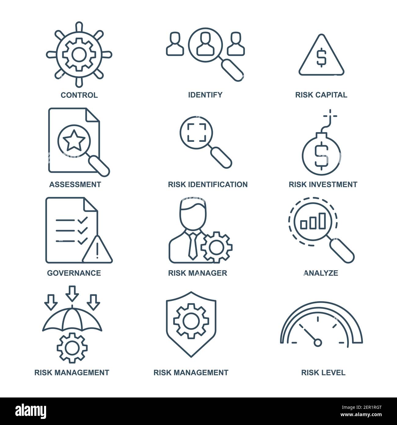 Risk Management Icon