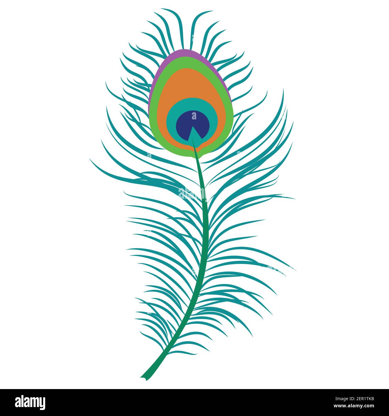 Vector illustration beautiful peacock feather. Decoration element ...