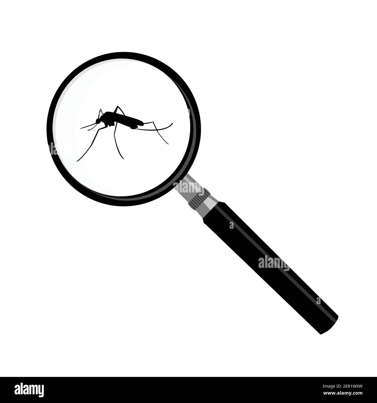 Vector illustration mosquito, malaria in magnifying glass zoom ...