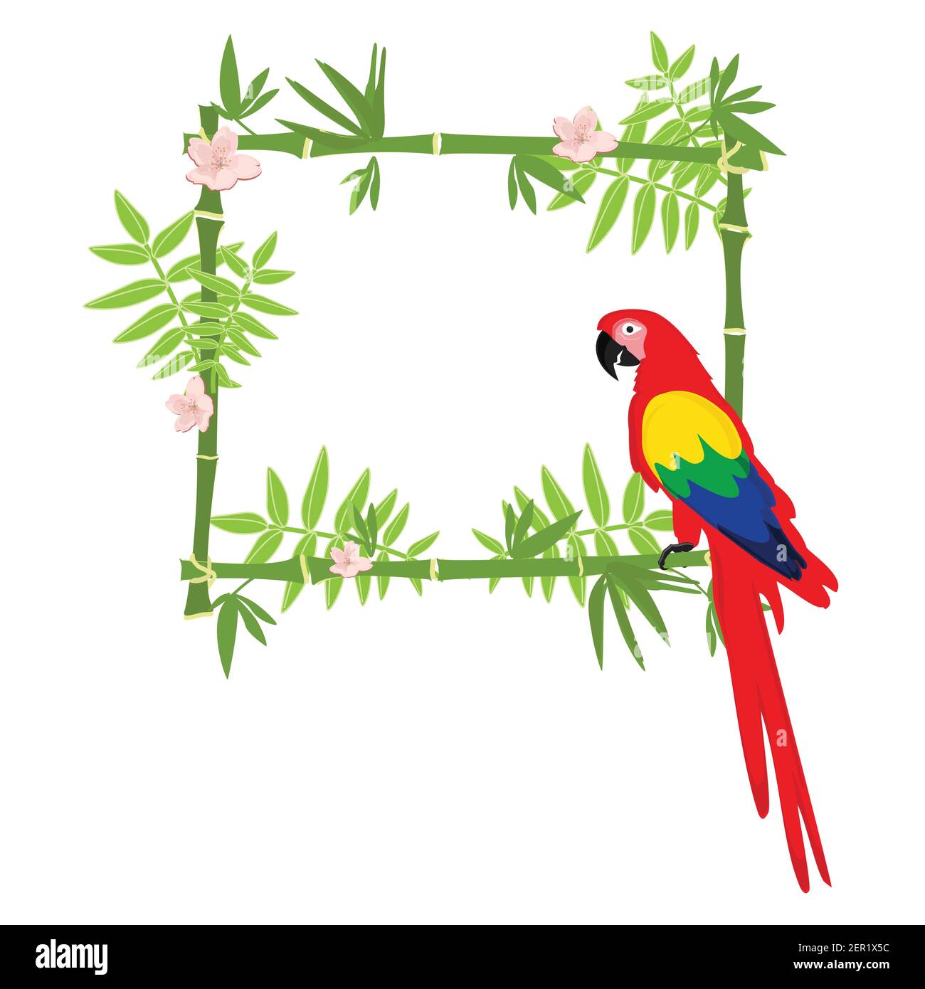 Vector illustration tropical island frame, border, poster with exotic ...