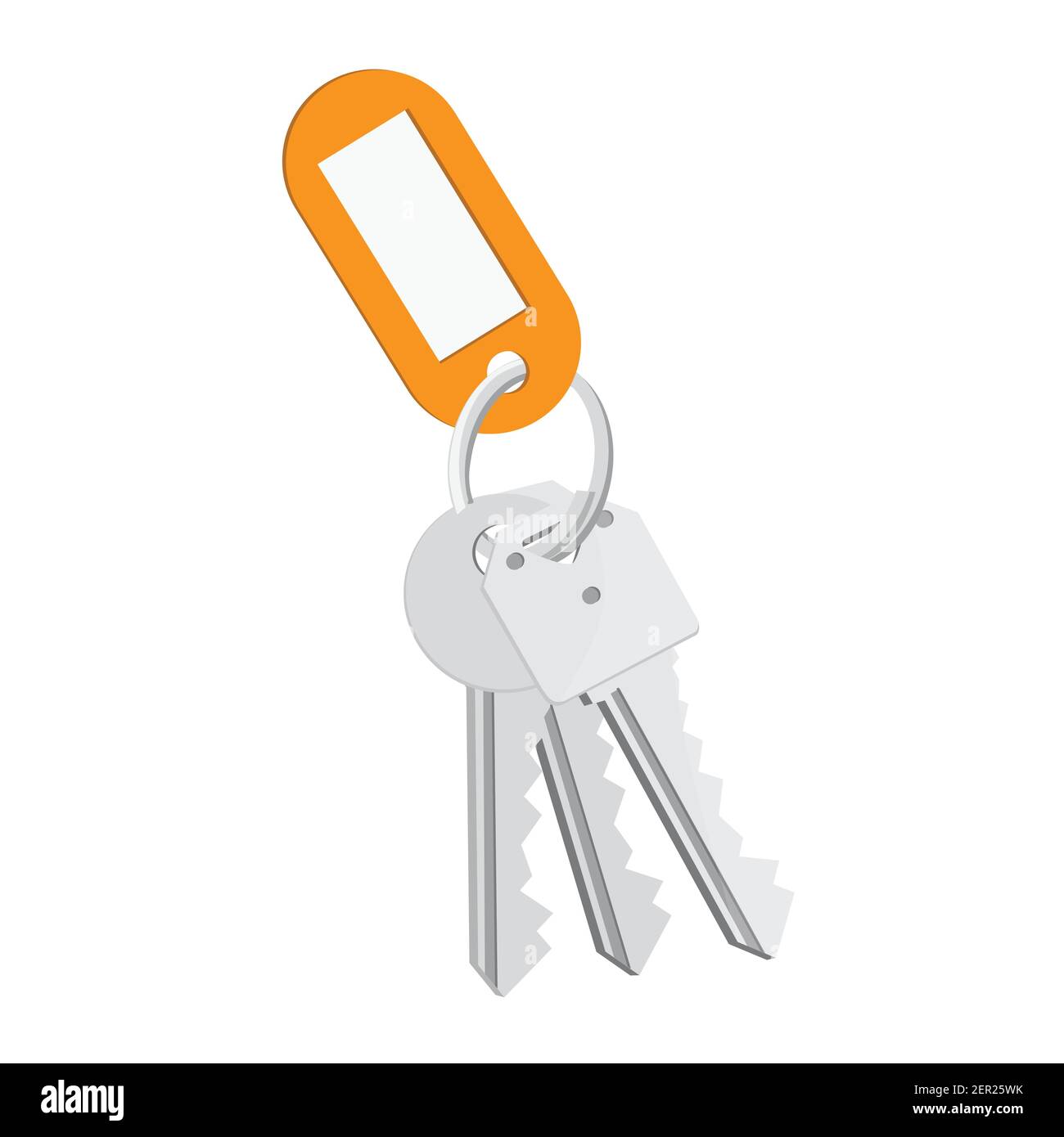Vector illustration blank orange tag and keys. Bunch of keys with ...