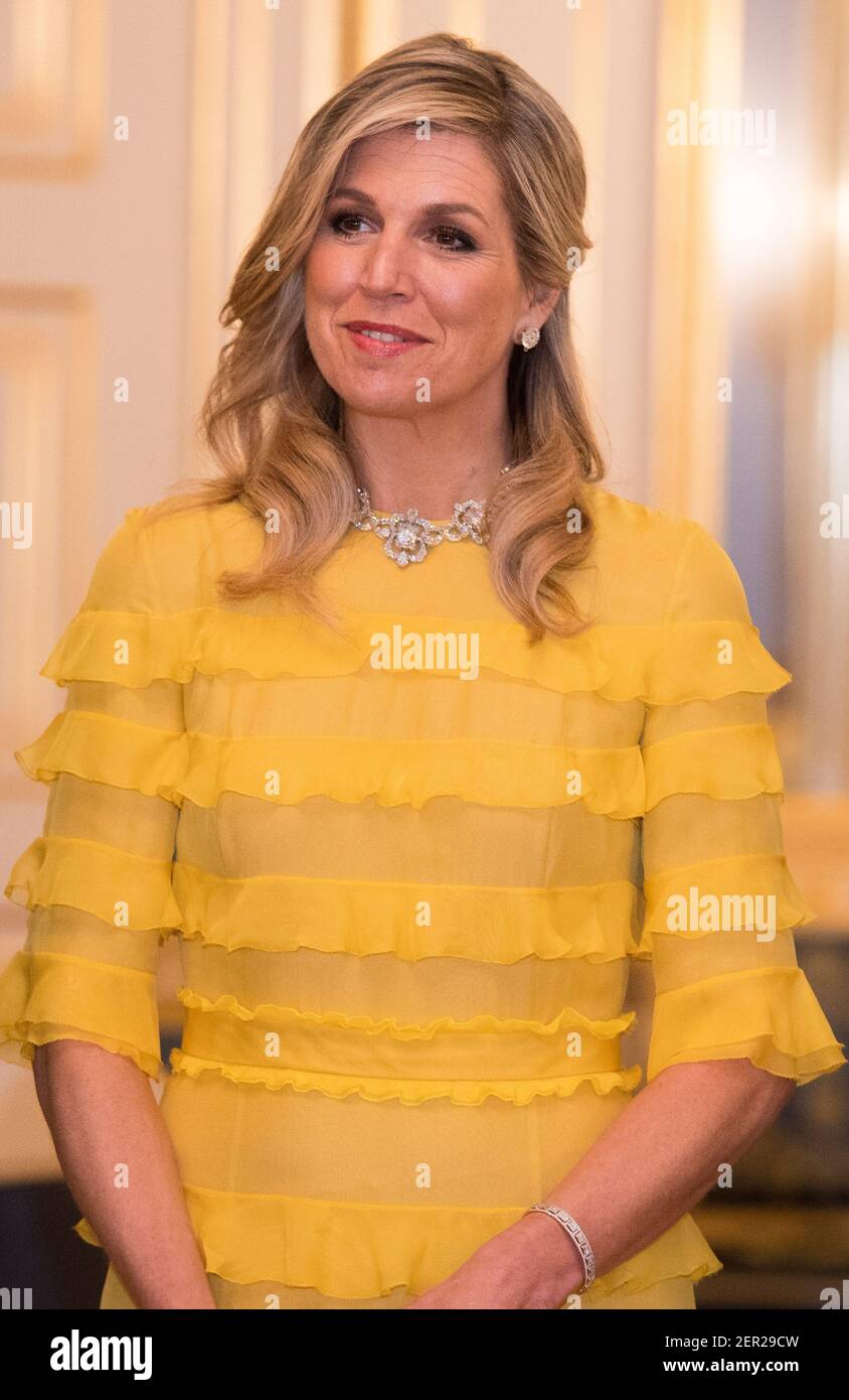 Queen Maxima during the official photocall at Noordeinde Palace, on the ...