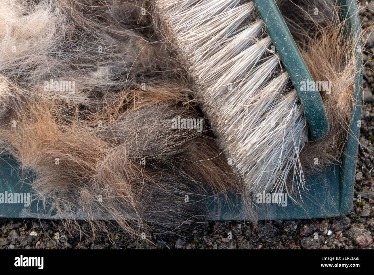 Pan up pathway hi-res stock photography and images - Alamy