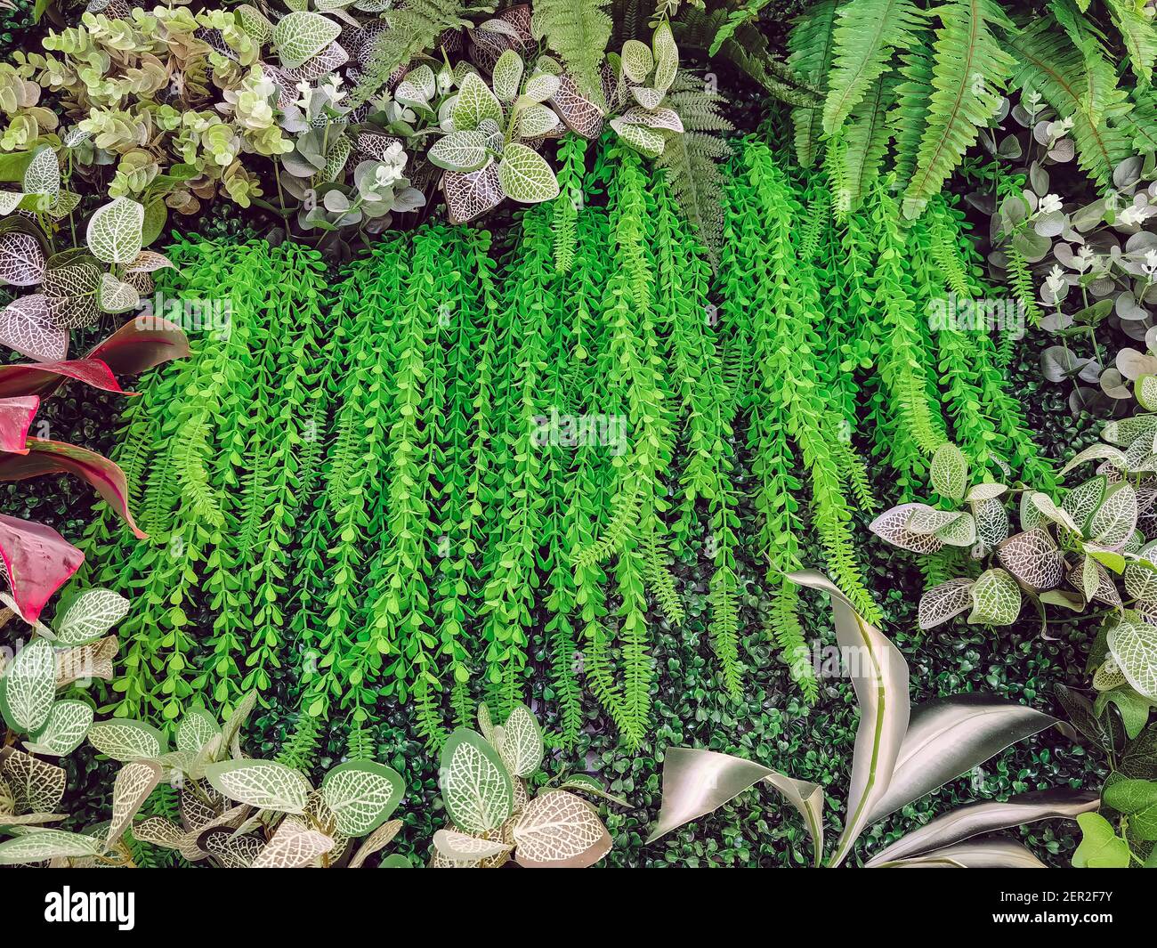 Many beautiful artificial green plant decoration on the wall and make ...