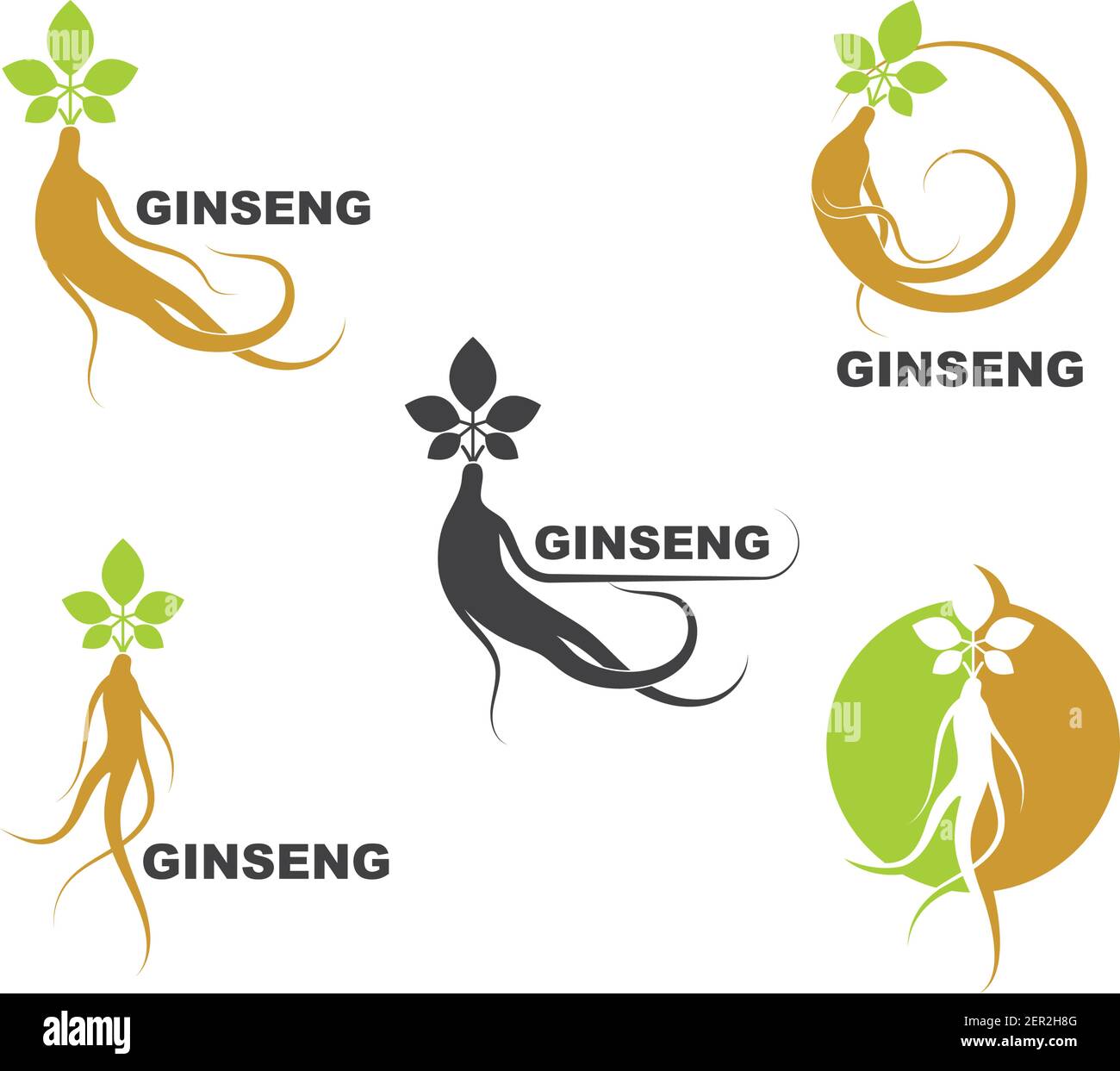 ginseng illustration icon vector design template Stock Vector Image ...
