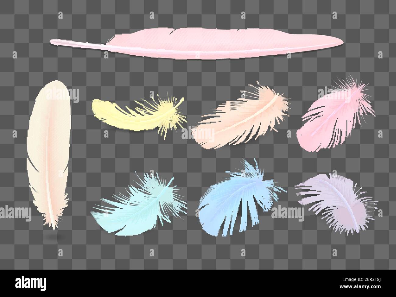 Colored bird feathers realistic transparent set isolated Stock Vector ...